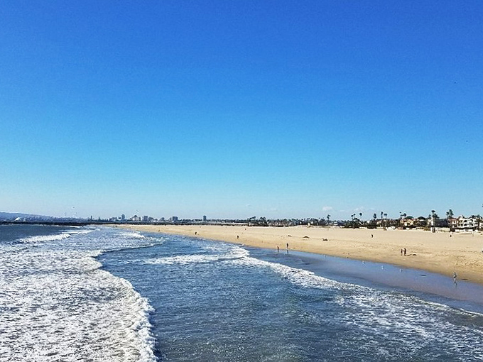 From this bird's eye view, Seal Beach reveals its perfect geometry&mdash;where orderly streets lead inevitably to the freedom of the ocean.