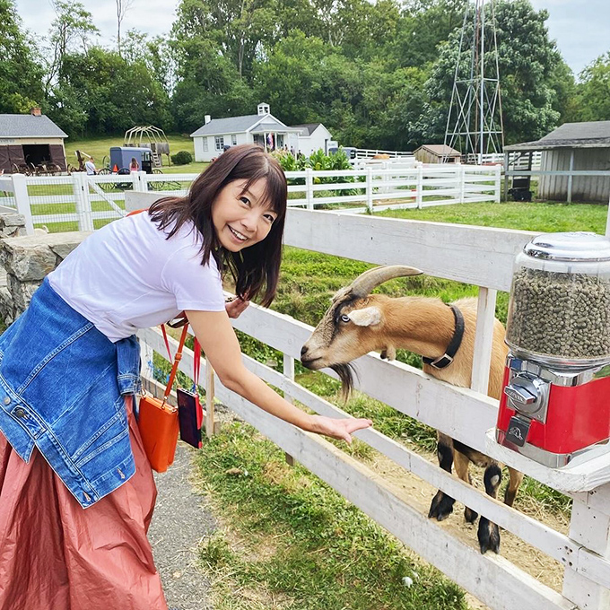Making friends with the locals! The farm animals at The Amish Village are accustomed to visitors and seem genuinely interested in cross-cultural exchange.