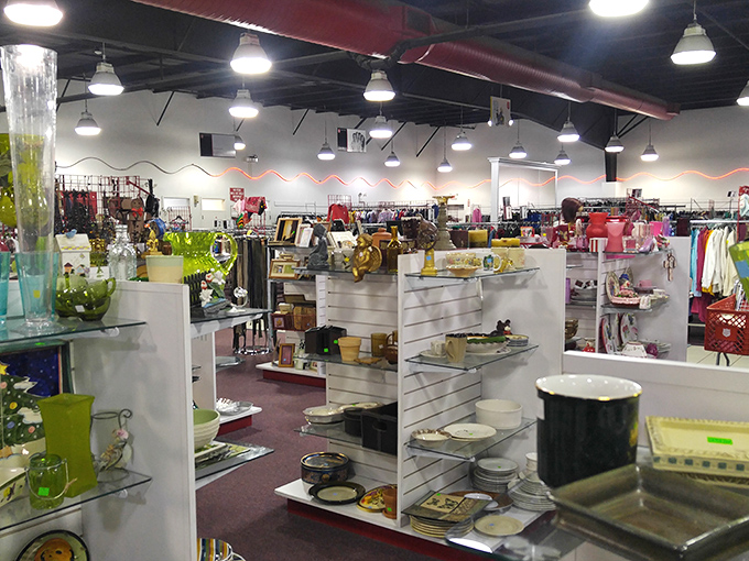 Housewares heaven where mismatched dishes become "curated collections" and vintage bowls find their second act.