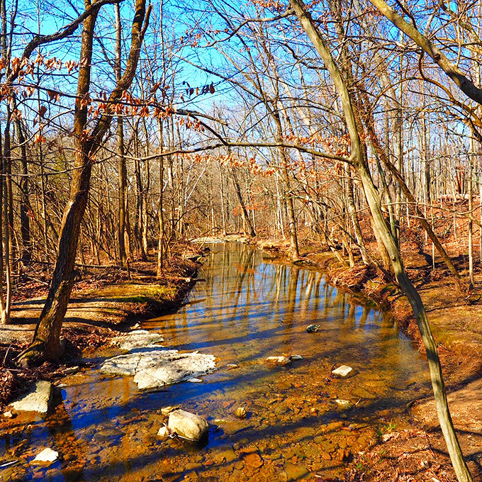 Autumn paints Tipp City's streams with golden light, creating the kind of scene that makes you want to cancel your appointments and just sit awhile.