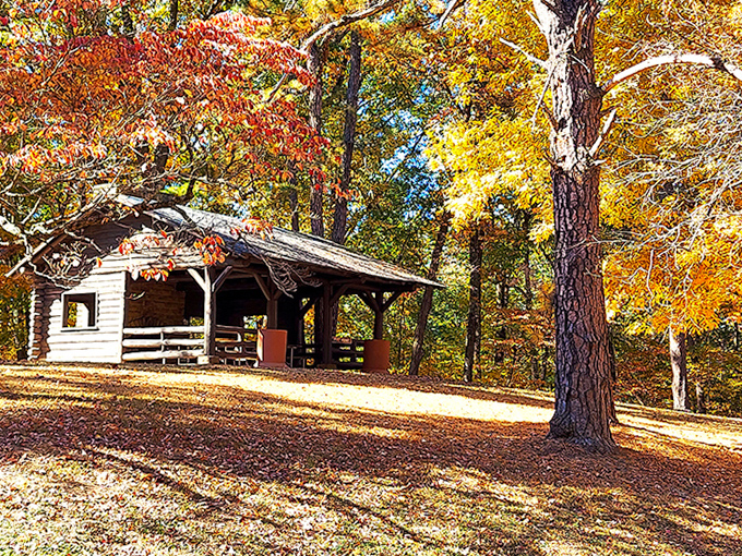 Fall's paintbrush transforms this rustic shelter into a postcard-worthy scene. Bring a thermos of coffee and stay awhile.