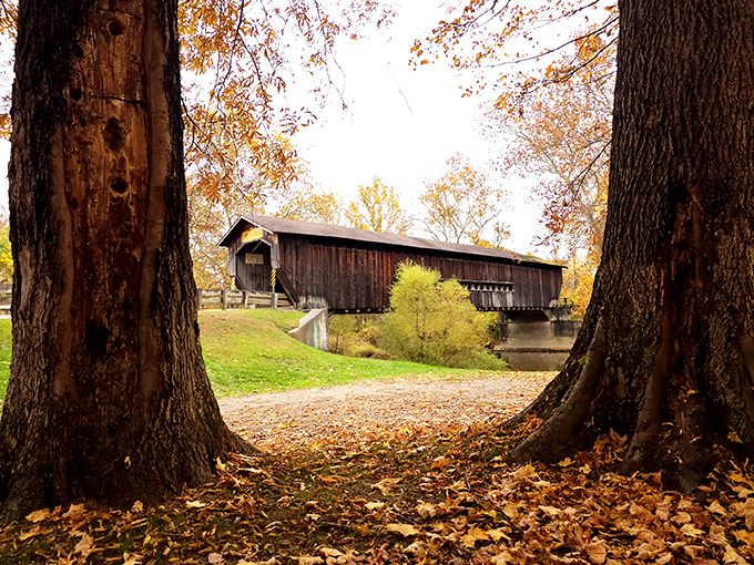 Nature frames this historic treasure perfectly in autumn. The bridge seems to have grown organically from the landscape itself.