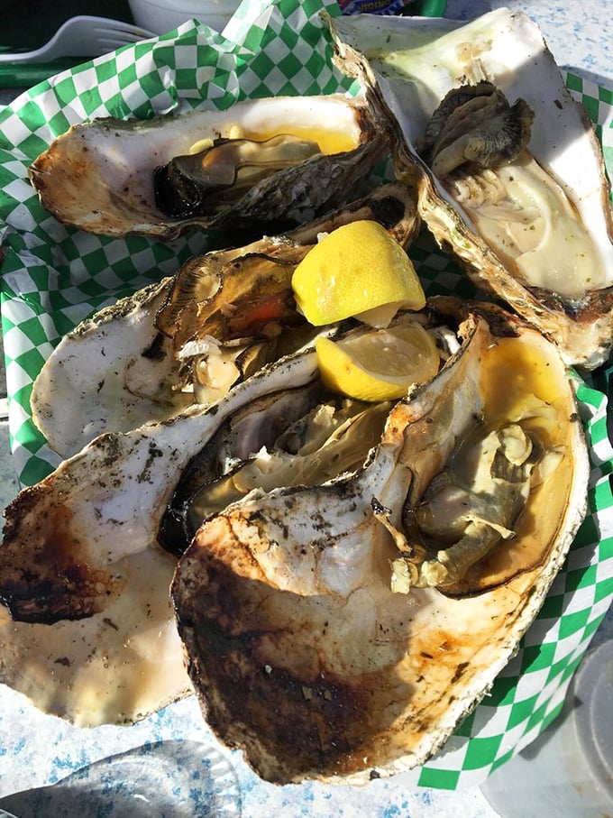 BBQ oysters on the half shell &ndash; nature's perfect serving dish. That squeeze of lemon isn't just garnish, it's the conductor of this briny symphony.