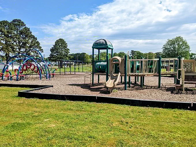 City Park's playground equipment stands ready for grandkids' visits, where the only admission price is the sound of children's laughter.