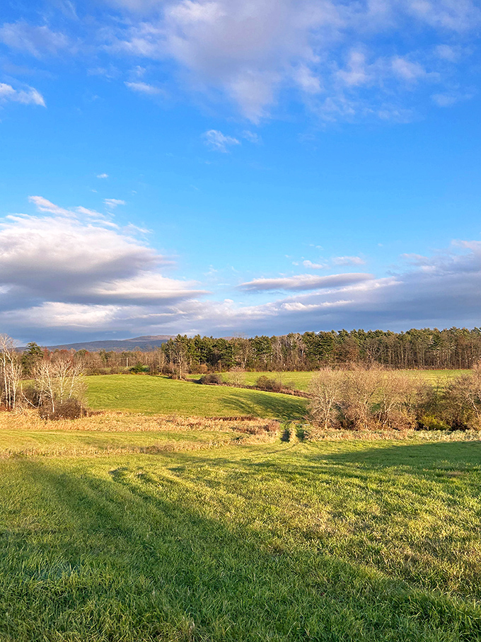 Vermont's rolling countryside unfolds like a landscape painter's dream canvas, where every season brings a different masterpiece to the same frame.