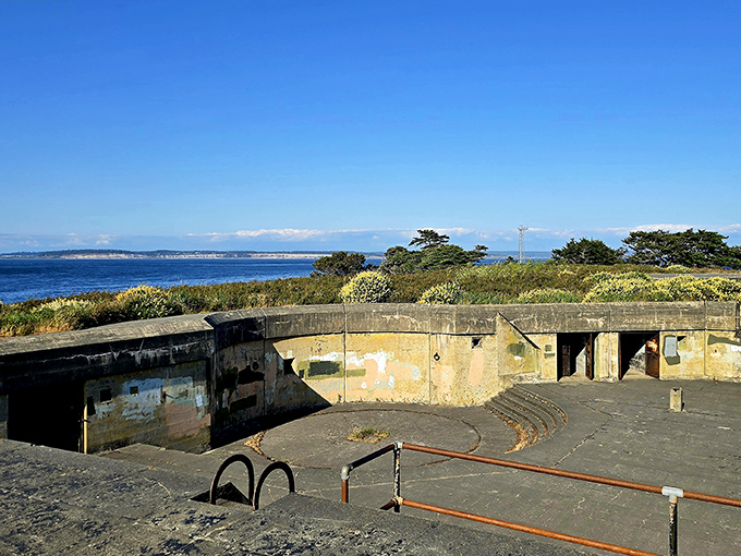 These abandoned military bunkers at Fort Worden offer history with a view&mdash;concrete relics where you can contemplate both world wars and whale watching in the same afternoon.