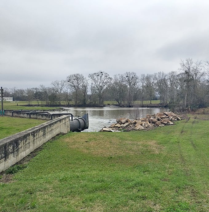 The Bayou Teche trailhead welcomes you to Louisiana's natural beauty, admission free, pretension nonexistent, wildlife abundant.