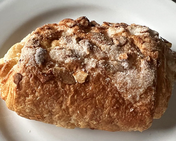 This bear claw isn't apologizing for its decadence. Golden, flaky, almond-studded, and dusted with powdered sugar&mdash;it's the breakfast of champions who've abandoned all restraint.