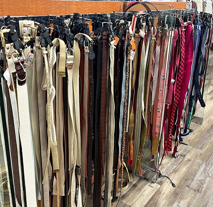 Belt heaven for the fashion-conscious bargain hunter. More leather options than a 1970s rock band's tour bus, all neatly organized for easy browsing.