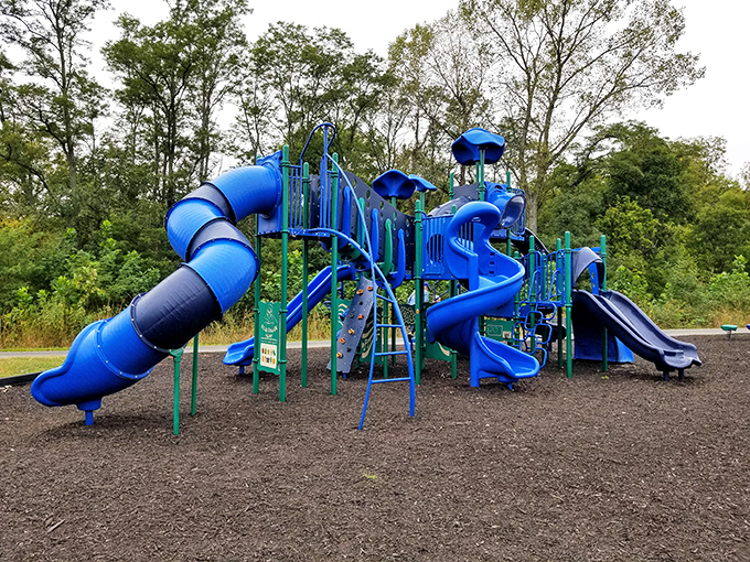 This blue playground wonderland at Benner Park proves that even in a historic town, modern fun has its place. Slide enthusiasts, rejoice!