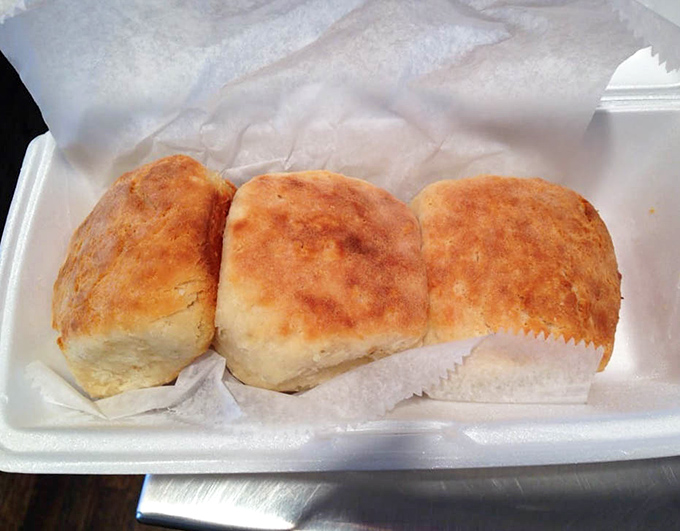 Three golden-topped biscuits nestled together like old friends. These aren't just baked goods&mdash;they're edible pillows of Southern comfort.