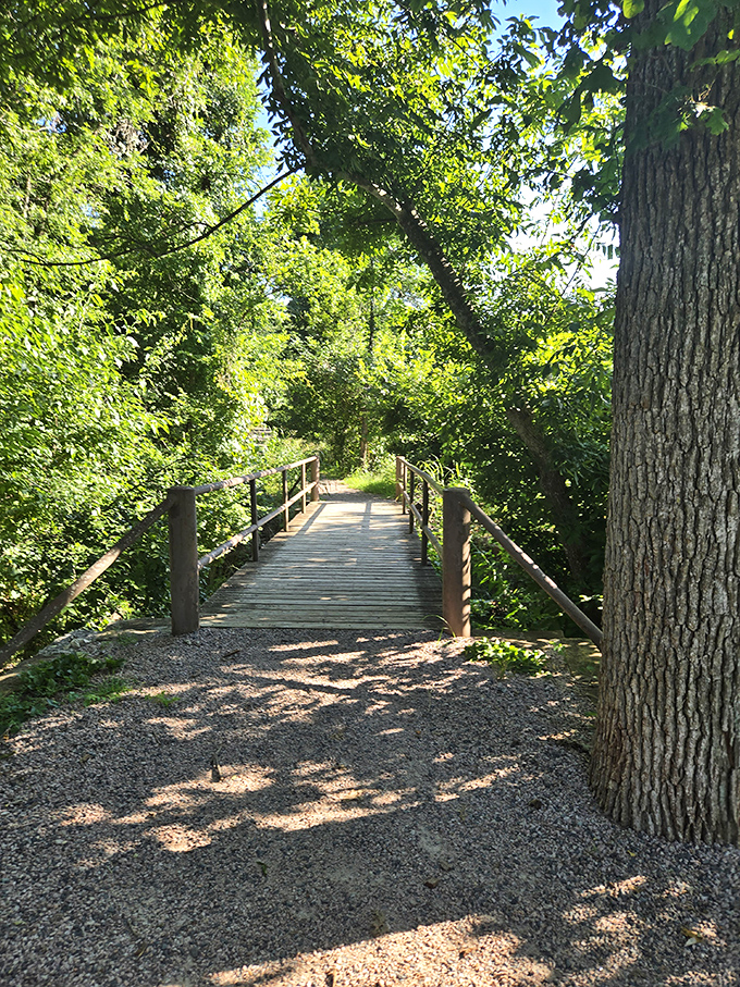 This wooden footbridge invites you to cross over into nature's embrace&mdash;no toll required except your willingness to unplug.