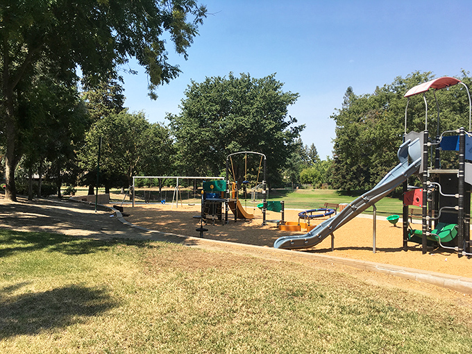 Blain Park's playground equipment stands ready for action, where kids burn energy while parents secretly wish they could join in.