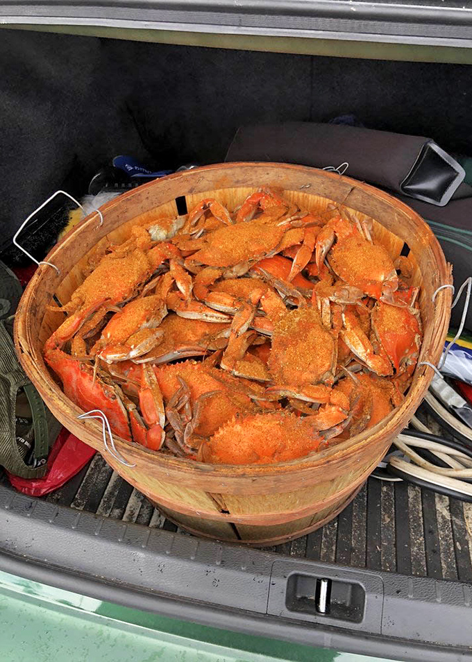 Maryland's famous blue crabs, seasoned and ready for battle. Your bib is your armor, your mallet your weapon of choice.