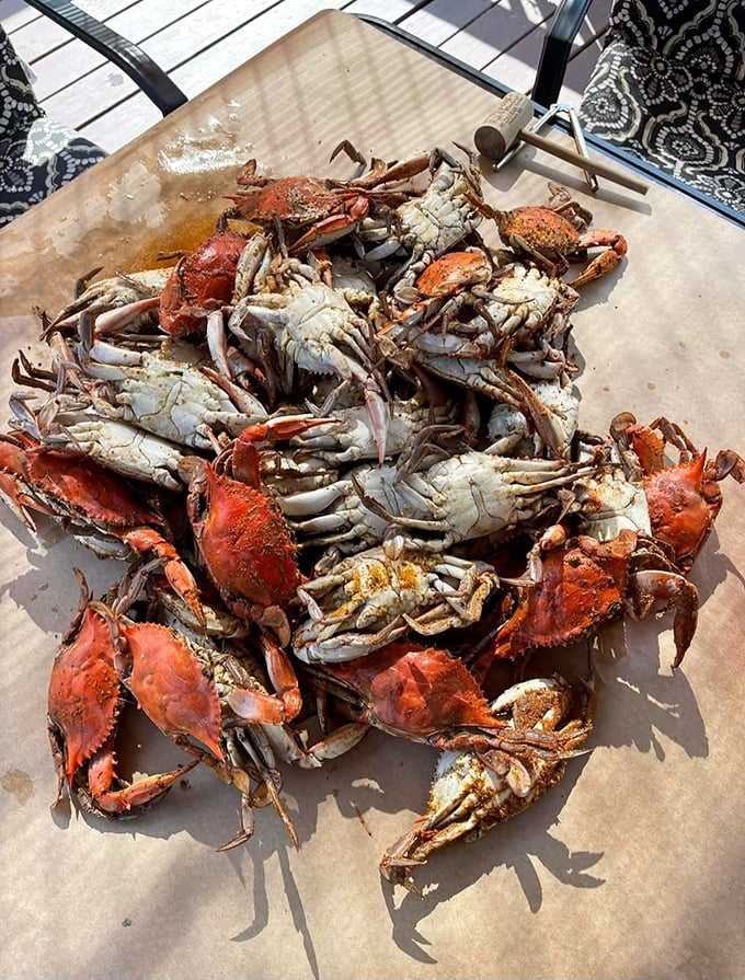 A mountain of blue crabs seasoned to perfection&mdash;proof that sometimes the messiest meals create the most memorable experiences.