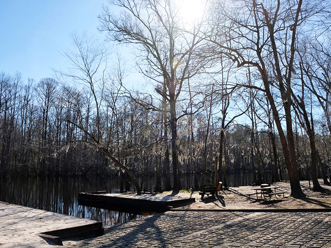 Winter reveals the bones of the forest, creating a stark beauty at this peaceful boat launch that's both melancholy and magnificent.