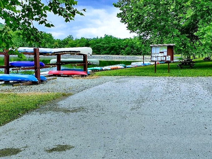 Kayak heaven! These colorful vessels lined up like eager puppies waiting for someone to take them on an adventure.