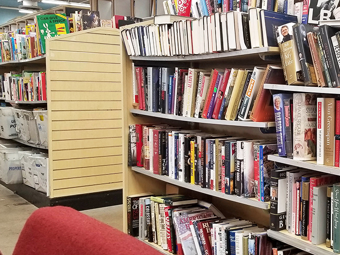 A bibliophile's dream come true - shelves packed with literary adventures costing less than your morning latte.