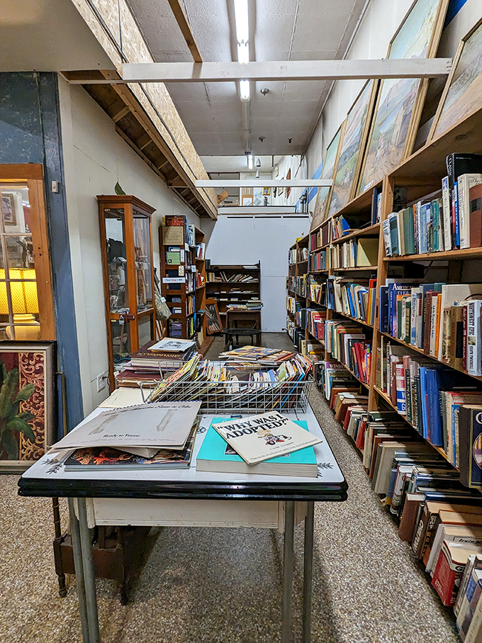 The book section &ndash; where literary treasures wait patiently on shelves, their stories doubled: one within their pages, another in their journey here.