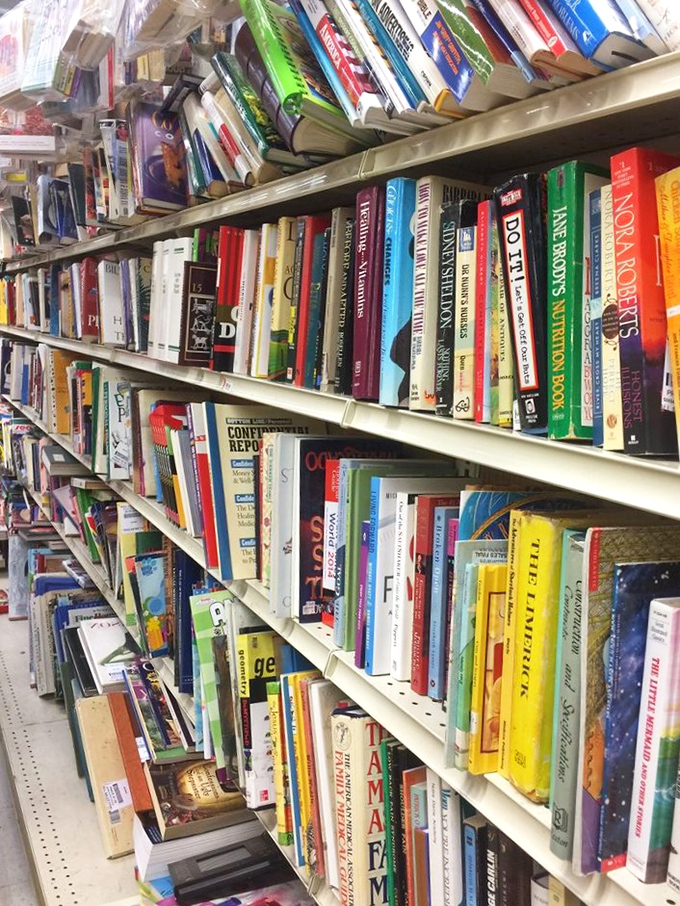 A literary buffet where dog-eared classics mingle with forgotten bestsellers, creating the world's most democratic library.