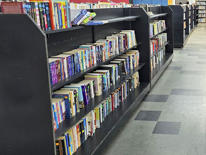 Bookworms rejoice! These shelves hold literary adventures at prices that make Amazon blush. That paperback thriller costs less than your morning coffee.