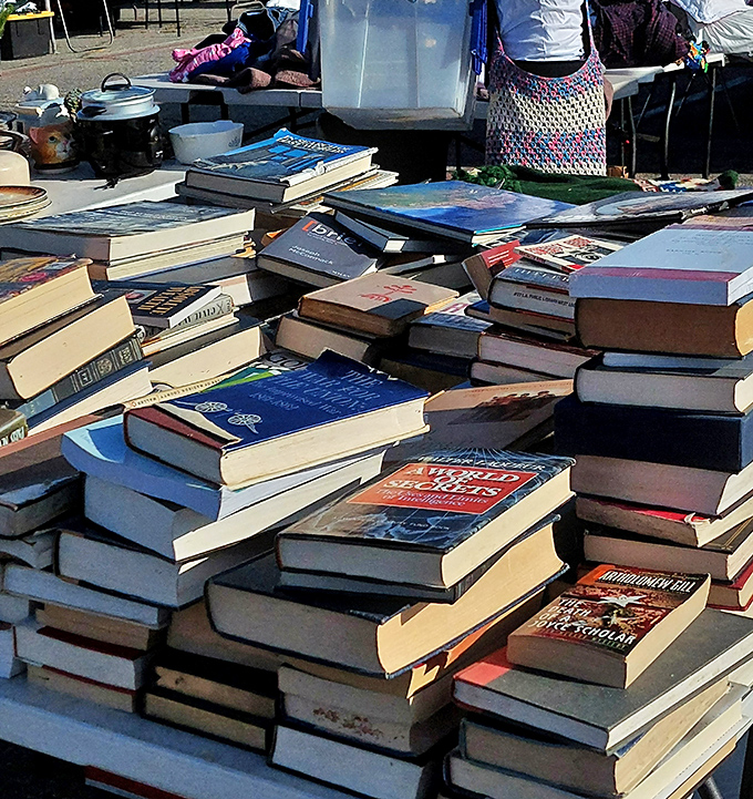 Literary treasures stacked higher than your summer reading list. Somewhere in this paper mountain lurks that out-of-print novel you've been hunting for years.