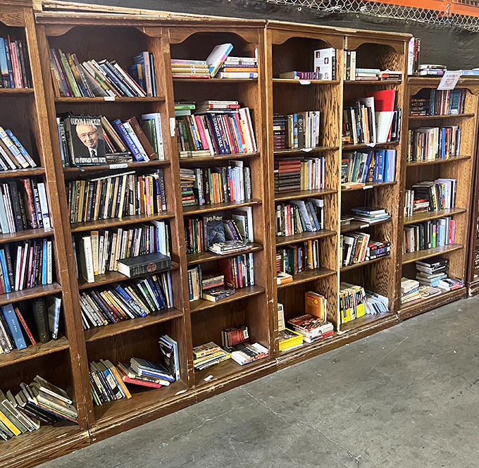 A crafter's dream basket of possibility. These colorful yarns are just waiting to become someone's heirloom blanket or quirky winter hat.