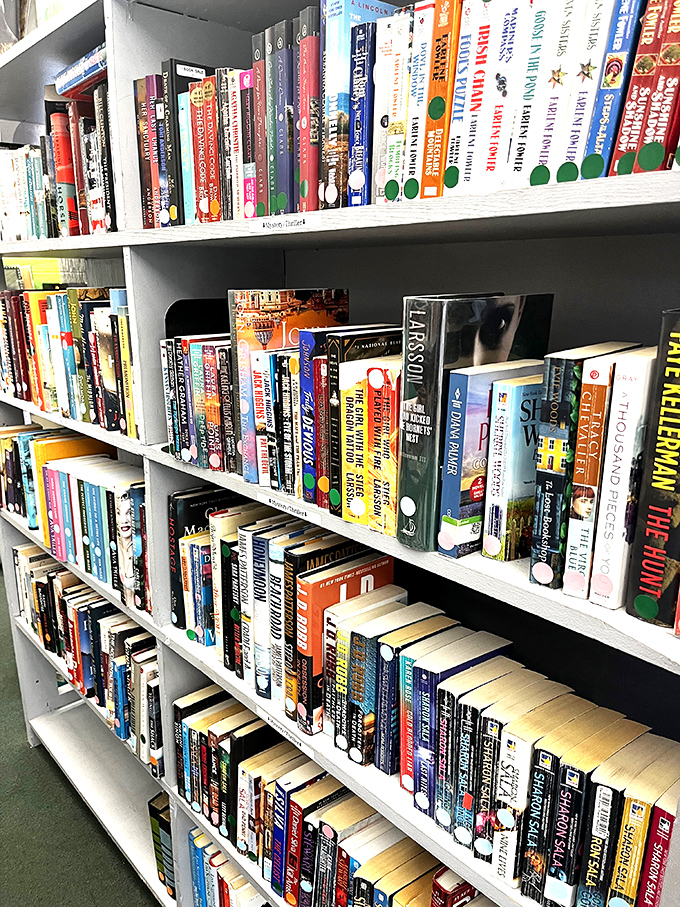 Bibliophiles beware&mdash;you might need to clear your schedule. These meticulously organized shelves house everything from bestsellers to forgotten classics.