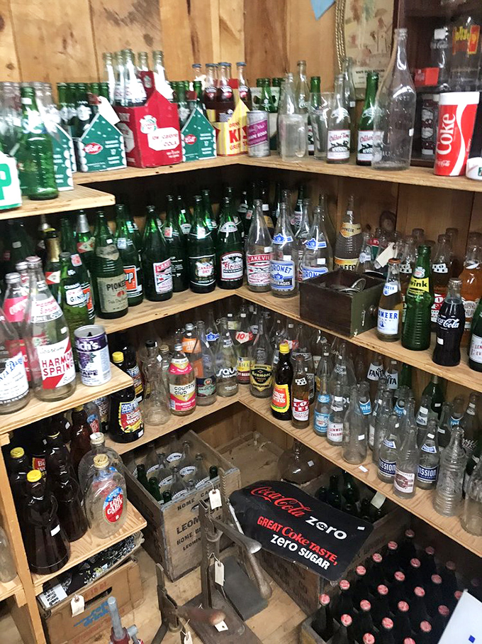 The bottle collection&mdash;where soda pop history comes to fizz eternally. Coca-Cola hasn't changed, but everything else certainly has.