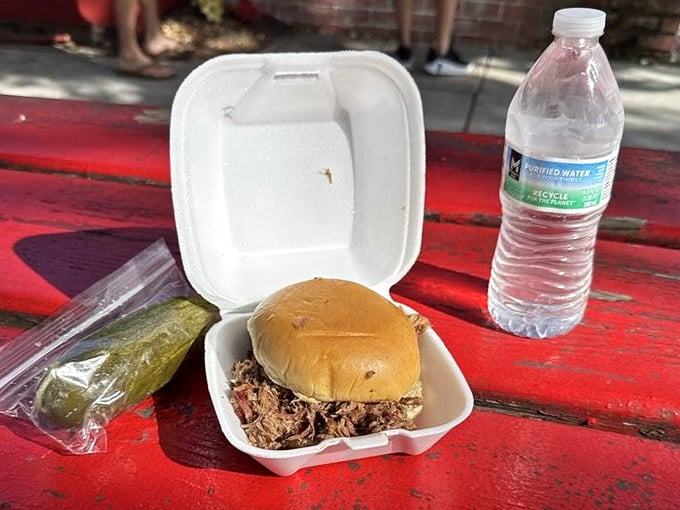 Simplicity at its finest: a pulled pork sandwich, a pickle, and water. The holy trinity of barbecue satisfaction on a sun-drenched picnic table.