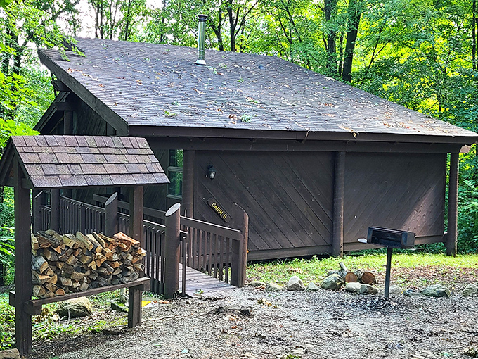 This rustic cabin isn't selling real estate, but it's offering something better—a chance to wake up surrounded by nothing but birdsong and forest air.