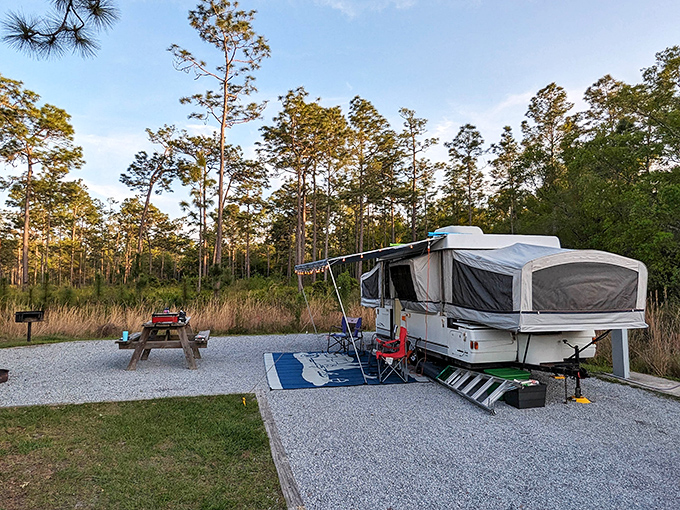 Camping Florida-style: where your morning alarm is birdsong and your ceiling is a canopy of stars.