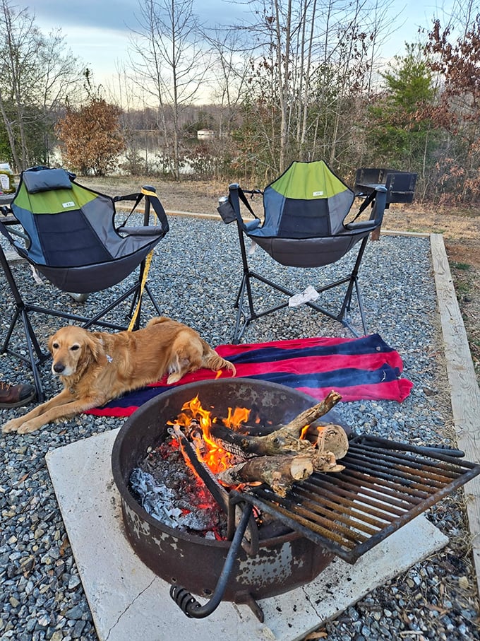 Camping nirvana: A golden retriever, crackling fire, and comfy chairs. Just add marshmallows and ghost stories for the complete package.