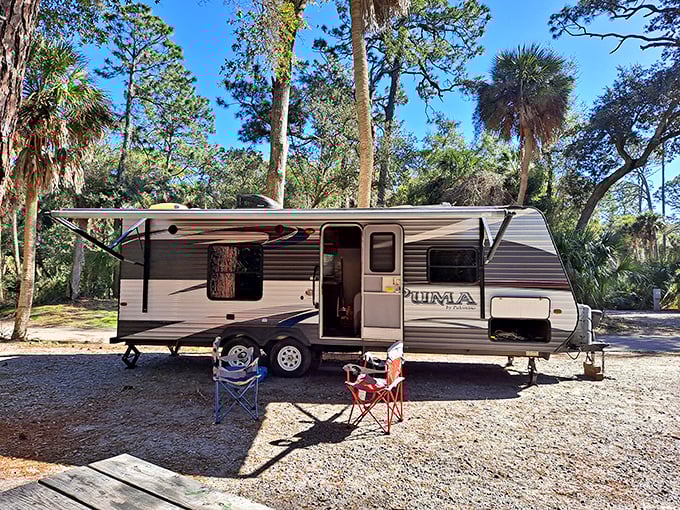 Camping nirvana: where your morning coffee comes with a side of birdsong and dappled sunlight filtering through maritime forest. 