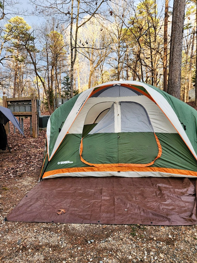 Camping 101: Set up your tent, surround yourself with trees, and remember that stars are nature's original night light.