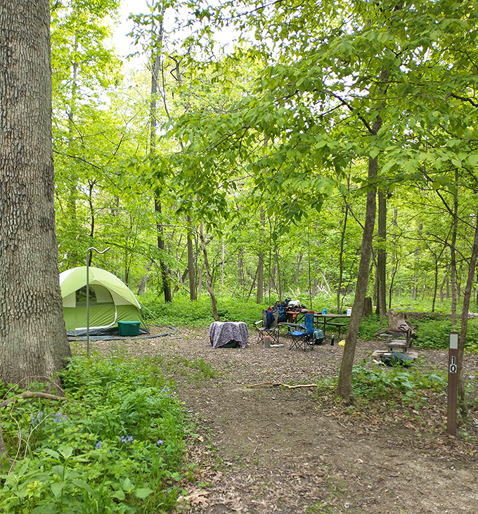 Camping spots nestled among trees like nature's own private hotel suites, no room service.