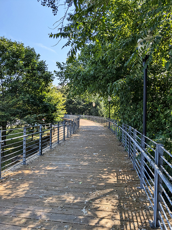 This wooden walkway through lush greenery isn't just a path&mdash;it's nature's hallway, complete with a canopy ceiling no interior designer could match.