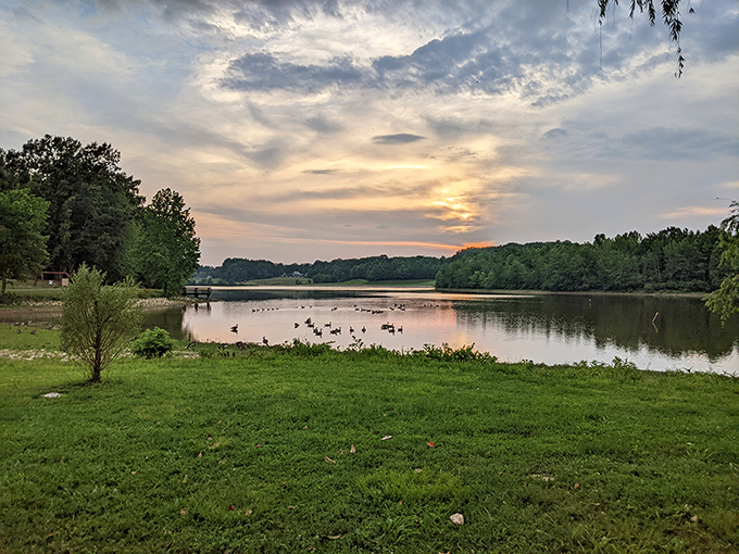 Nature's evening show at Cane Creek Park turns an ordinary lake into a masterpiece that even Bob Ross would call "a happy little accident."