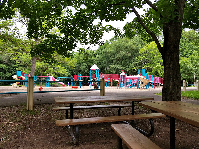 Carson Park's colorful playground stands ready for childhood adventures, with picnic tables nearby for parents who've learned the art of simultaneous relaxation and supervision.