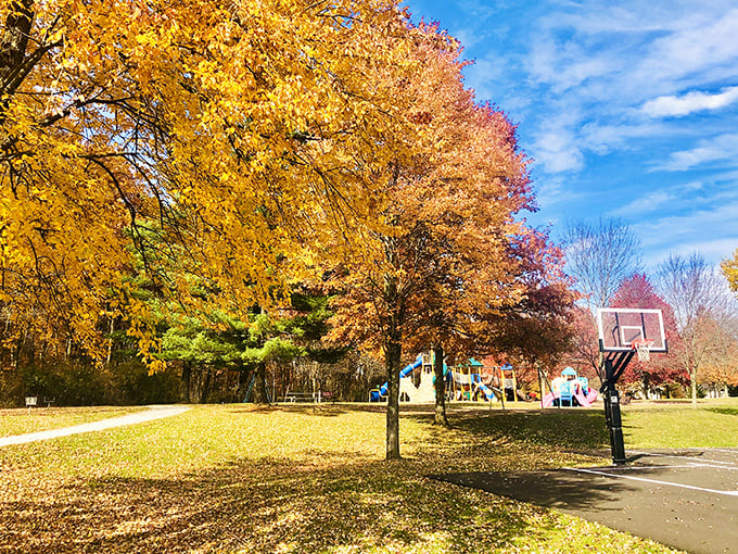 Fall transforms Cascade Park into nature's confetti celebration, where basketball hoops stand ready beneath a canopy of golden leaves.