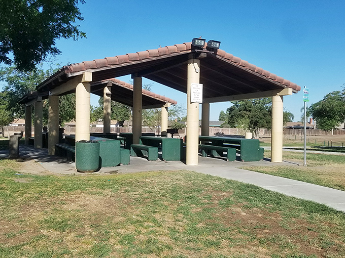Centennial Park's covered picnic area stands ready for family gatherings where three generations can debate the proper way to grill a burger in comfortable shade.