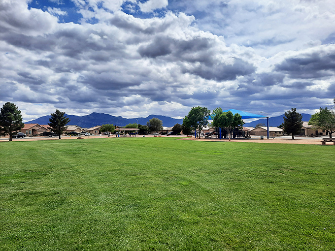 Cloud-dappled skies frame this expansive green space, where Sierra Vista residents gather for everything from picnics to patriotic celebrations.