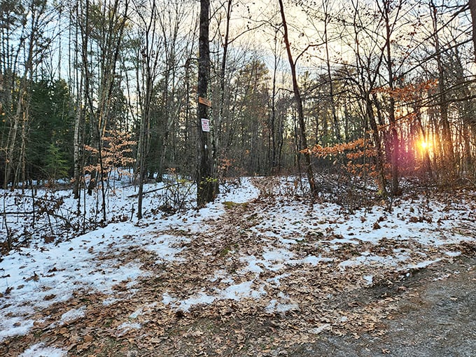 Sometimes the best classroom is outdoors, where Mother Nature teaches patience and wonder without charging tuition.