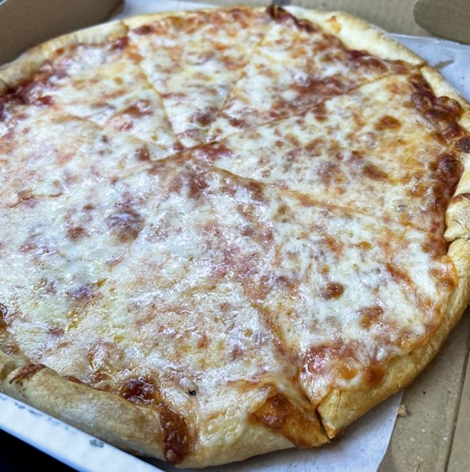 Simple cheese pizza done right is culinary poetry. The slightly charred edges and bubbling surface tell you everything you need to know.