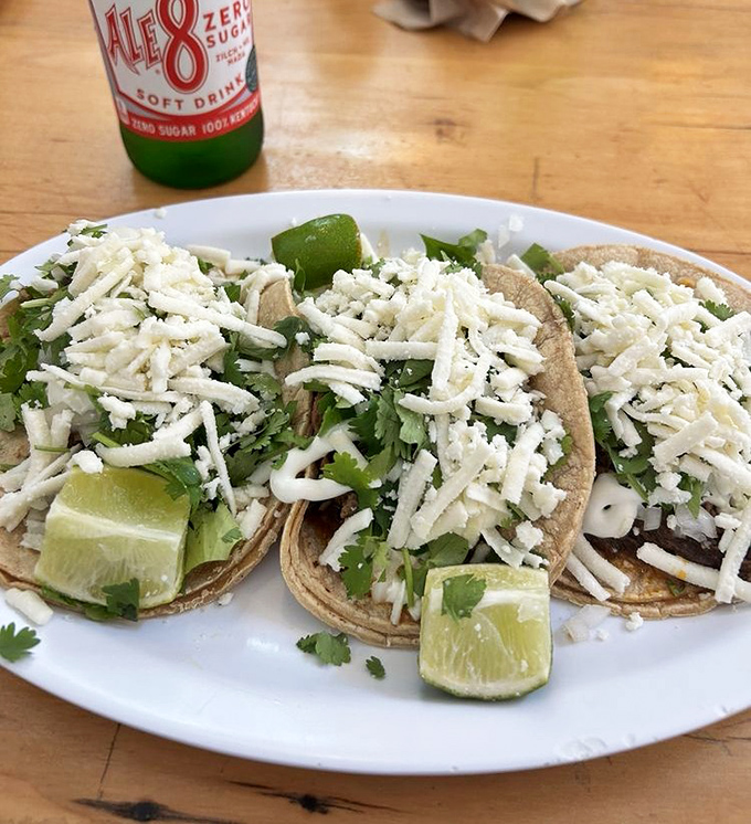 These tacos aren't just food; they're little lime-kissed canvases where cilantro and cheese create edible art.