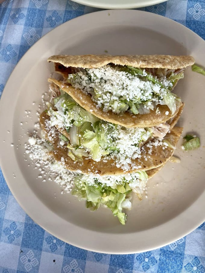 These tacos aren't just filled&mdash;they're generously stuffed with tender meat, then showered with cheese that melts slightly from the warmth below. Poetry on a plate.