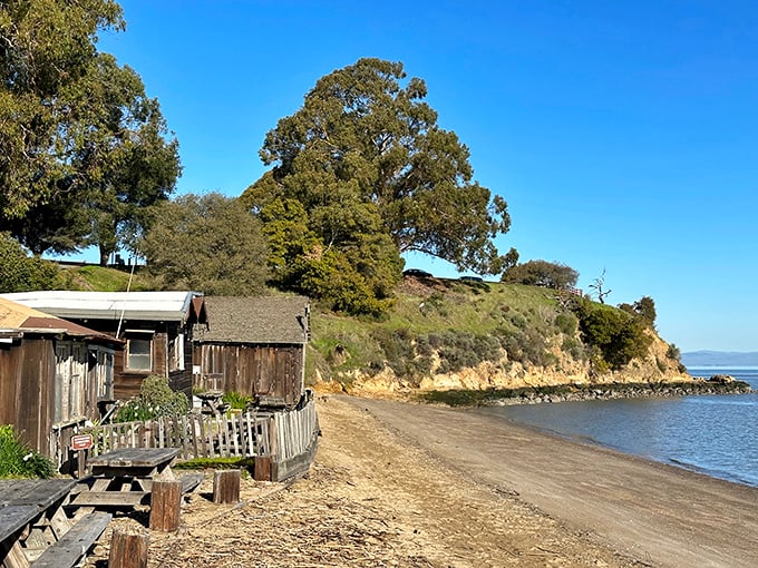 Where golden hills meet shoreline shacks, China Camp's historic buildings stand as sentinels of California's multicultural past, beautifully preserved against time's tide.