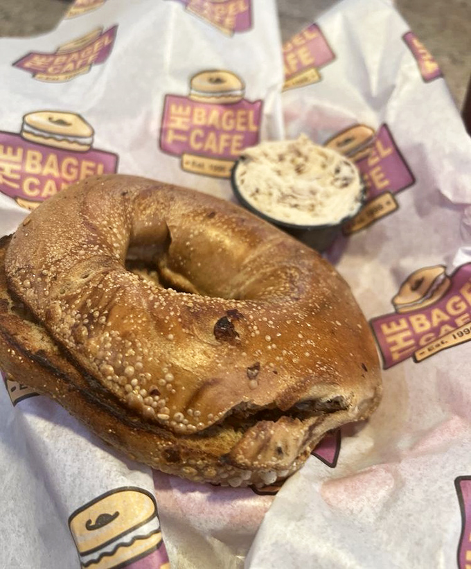 This cinnamon raisin bagel with cream cheese isn't just breakfast&mdash;it's edible therapy that makes even the worst slot machine losses bearable.