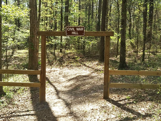 The Civil War Hill Trail entrance beckons history buffs and casual wanderers alike.