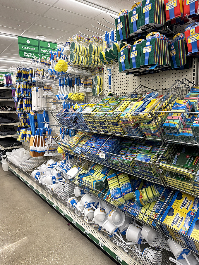 The cleaning supply motherlode! Like a rainbow of household problem-solvers, each promising to make your home sparkle without cleaning out your wallet.